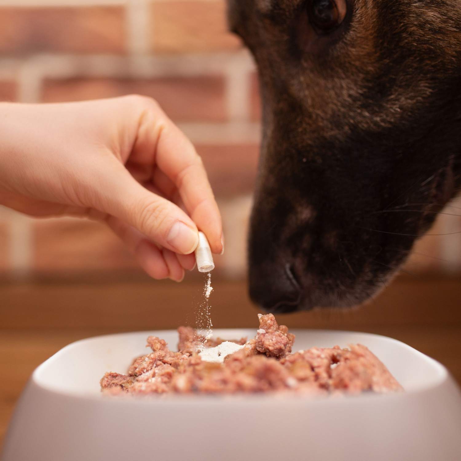 VET EXPERT BIOPROTECT ULTRA - probiotyk dla psów i kotów